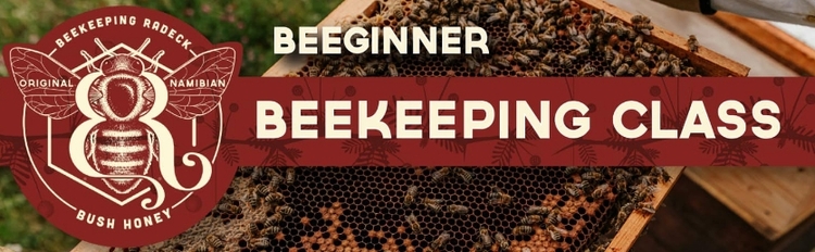 Beginner Beekeeping Class - WeShareEvents
